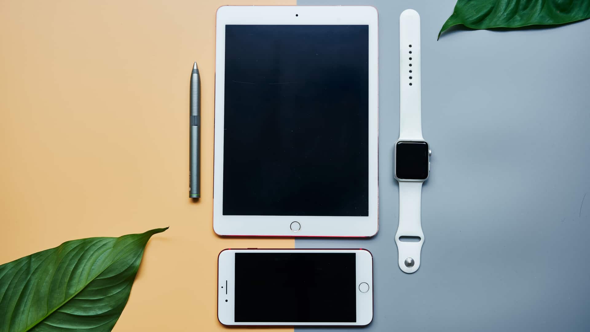 Top 5 Exclusive Apple Discounts for Students in Germany You Can't Miss ...